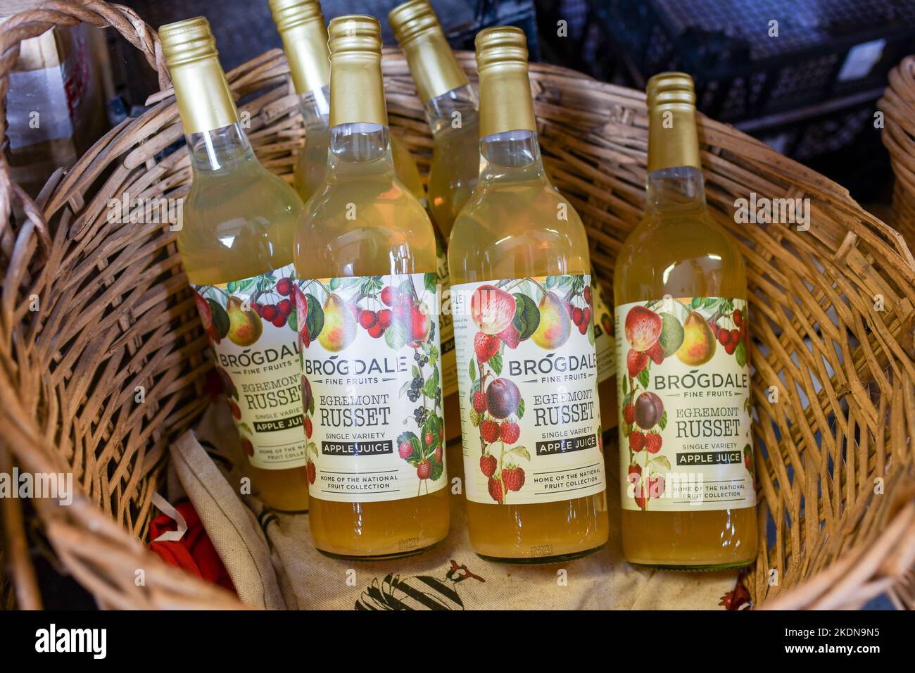 Egremont Russet single variety apple juice, Tiddly Pomme Farm Shop ...