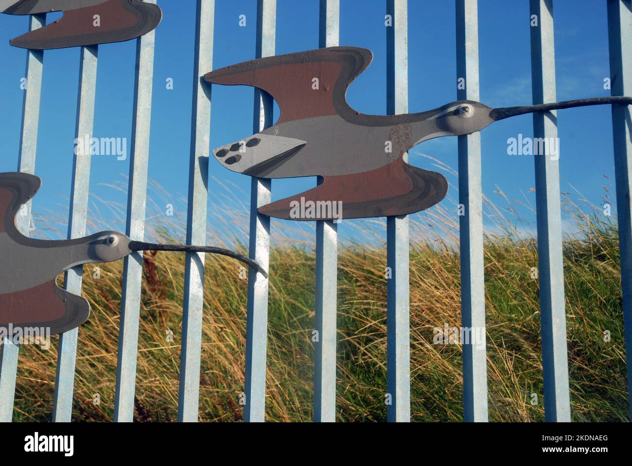 Curlew bird sculptures on a fence, Morecambe bay and the promenade ...