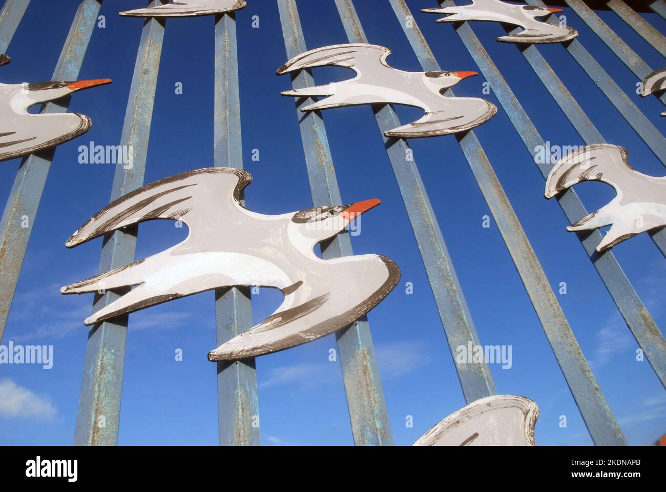 Tern bird sculptures on a fence, Morecambe bay and the promenade ...