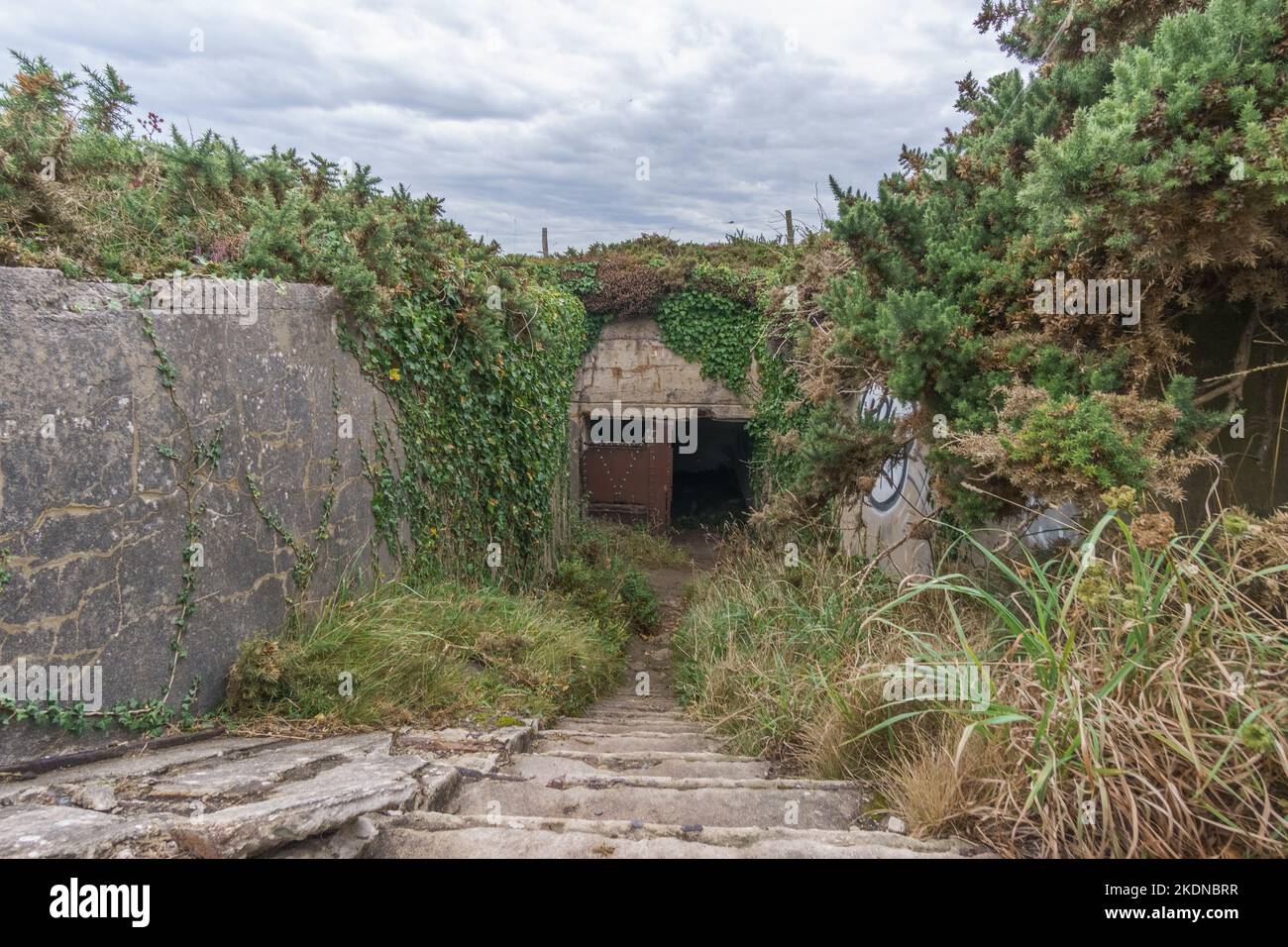 Old military wwii bunker with rusted steel door at the french coast ...