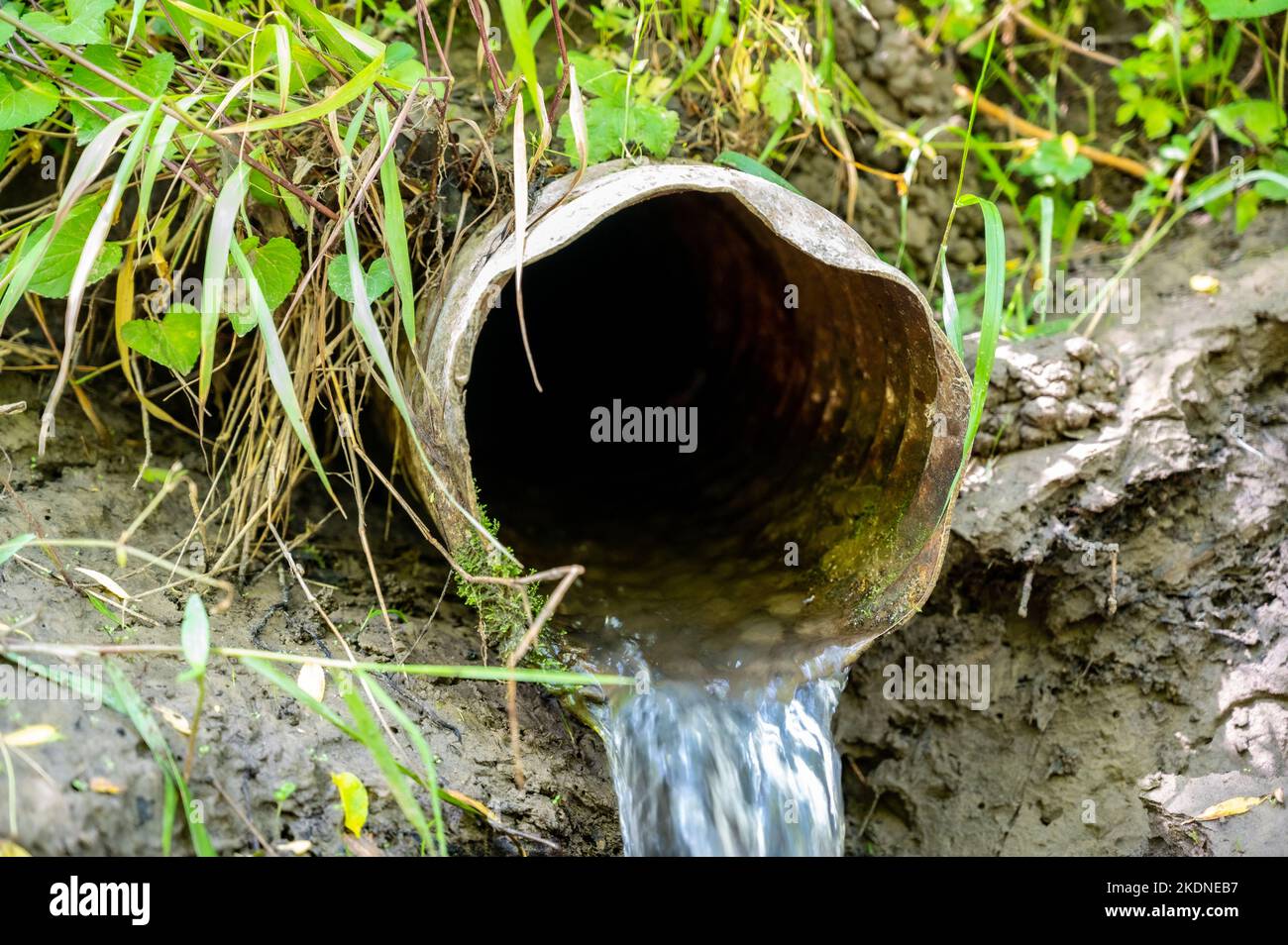 Water flowing from the open outlet of a metal agriculture drainage tile ...
