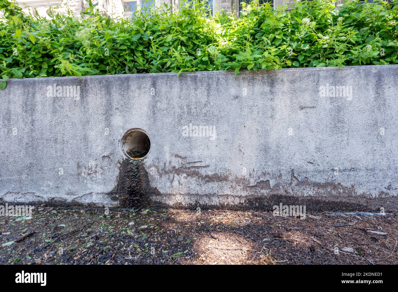 Stormwater drain outlet in an urban area with seepage discoloring a ...