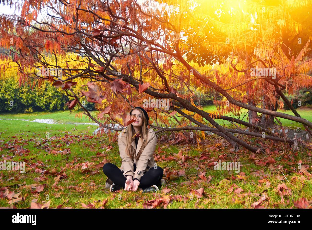 Autumn leaves falling on happy young woman in forest. The colors and ...