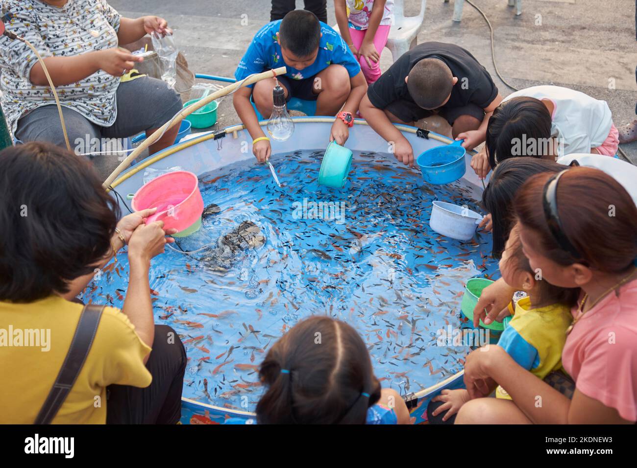 Children at Market Fish Pond Ayutthaya Thailand Stock Photo - Alamy