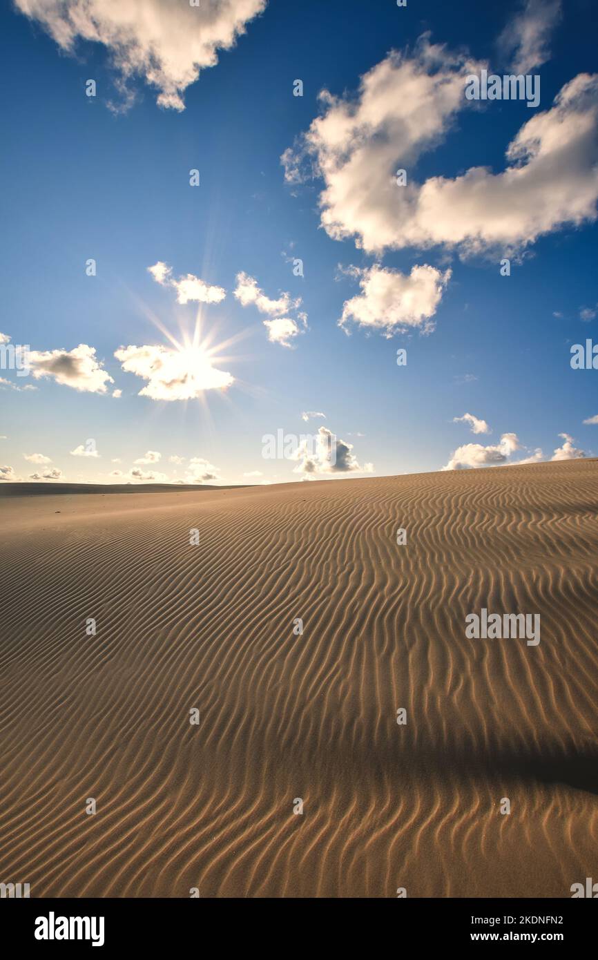 Beautiful summer holiday landscape. Moving dunes by the Polish Baltic ...