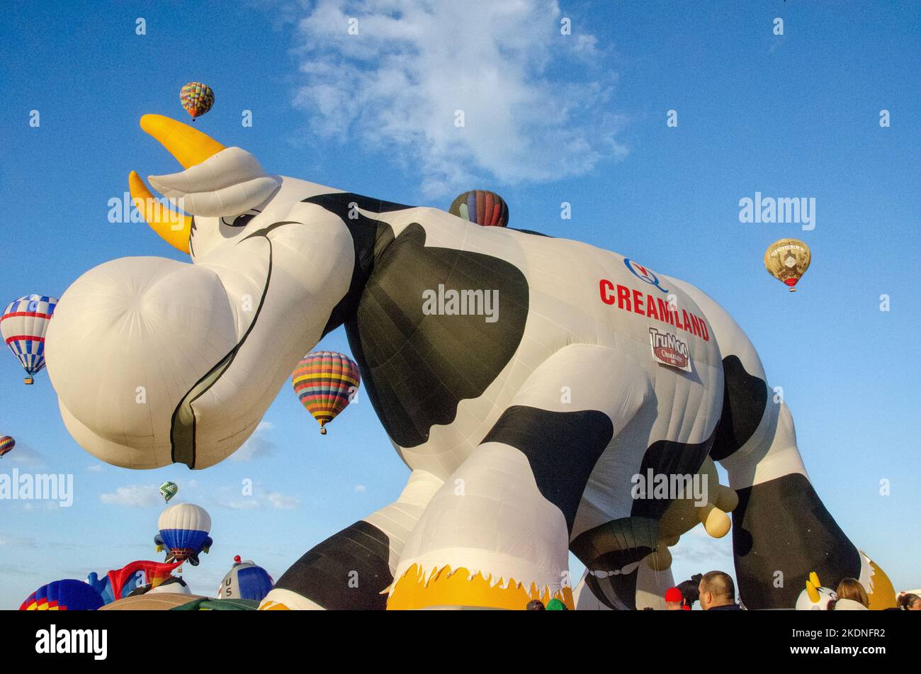 Special Shape Balloon of Airabelle the Creamland Cow at the Albuquerque ...