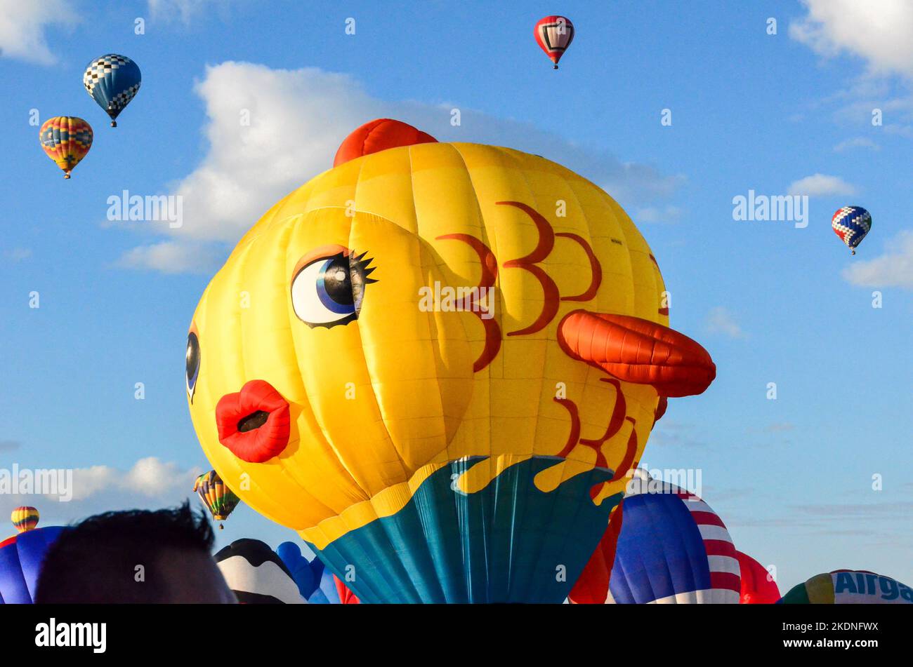 Special Shape Balloons at the Albuquerque International Balloon Fiesta ...