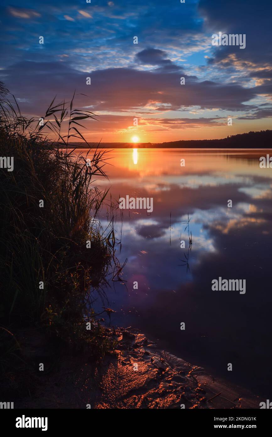 Sunrise on the lake. Green grass on the lakeside in the morning scenery ...
