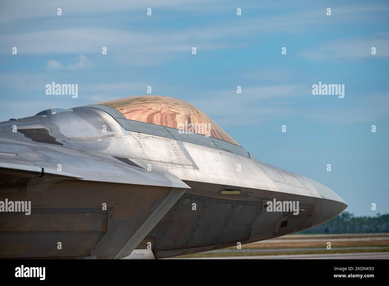 A U.S. Air Force F-22 Raptor assigned to the 94th Fighter Squadron ...