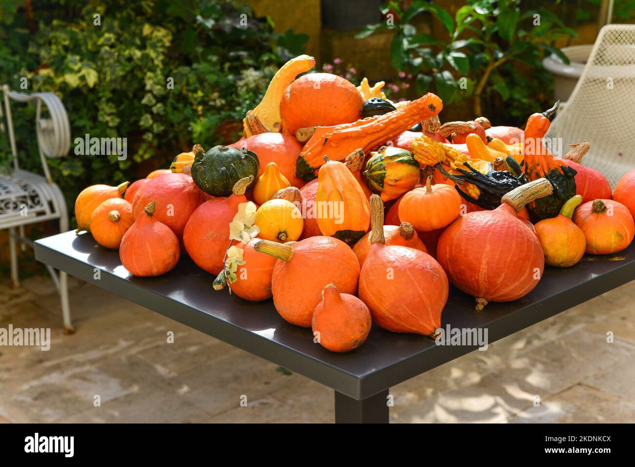 Redkuri hi-res stock photography and images - Alamy