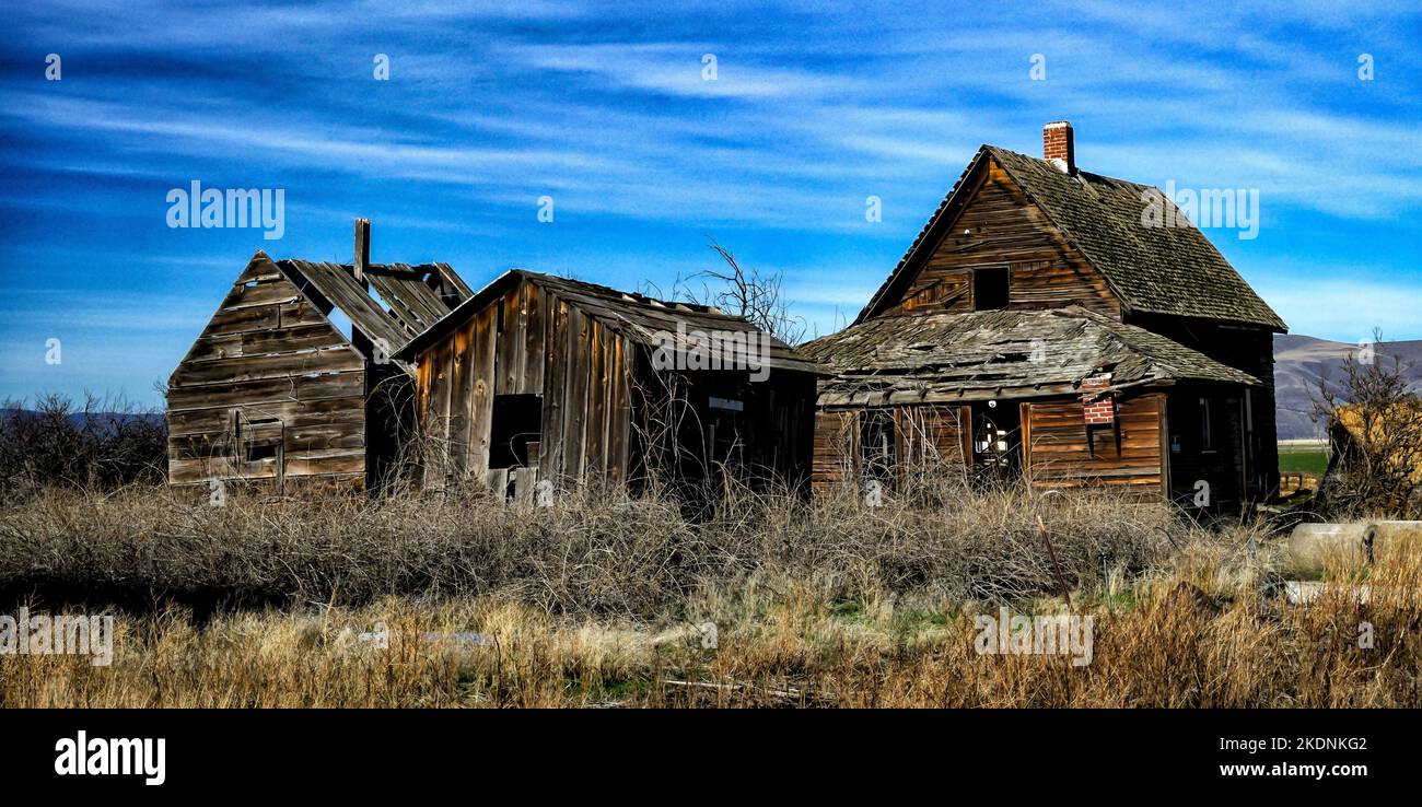 Old Farmstead in Oregon with views of Mt. Hood Stock Photo - Alamy