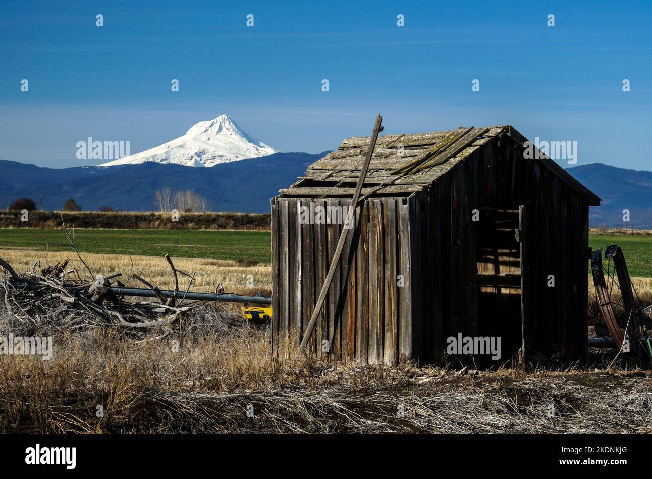 Old Farmstead in Oregon with views of Mt. Hood Stock Photo - Alamy