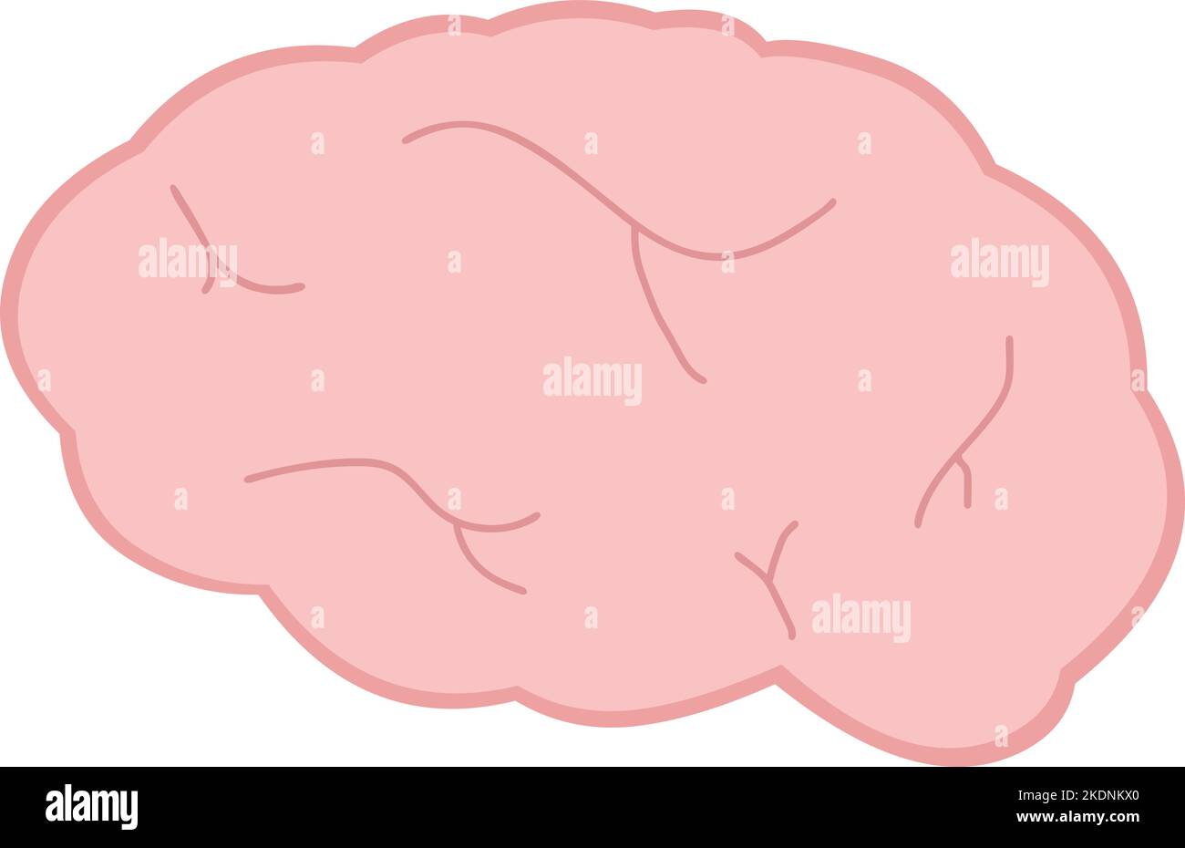 Anatomy art brain cartoon Stock Vector Images - Alamy