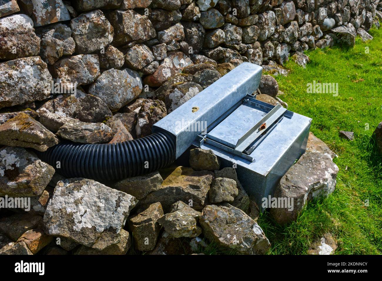 A rat trap on the Isle of Canna, Scotland, UK Stock Photo - Alamy