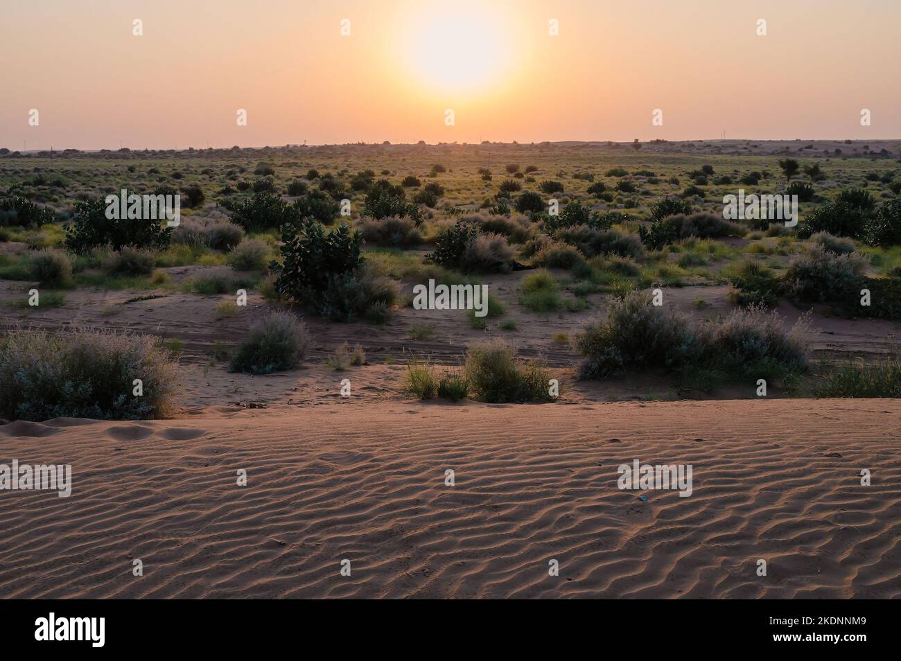 Sun rising at the horizon of Thar desert, Rajasthan, India. Tourists ...