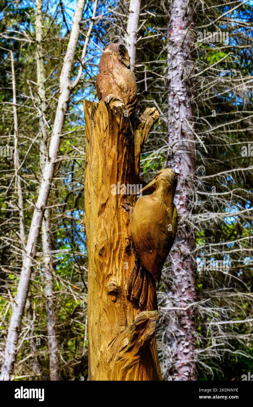 A wood carving of birds on a tree trunk, in Dunnet Community Forest ...