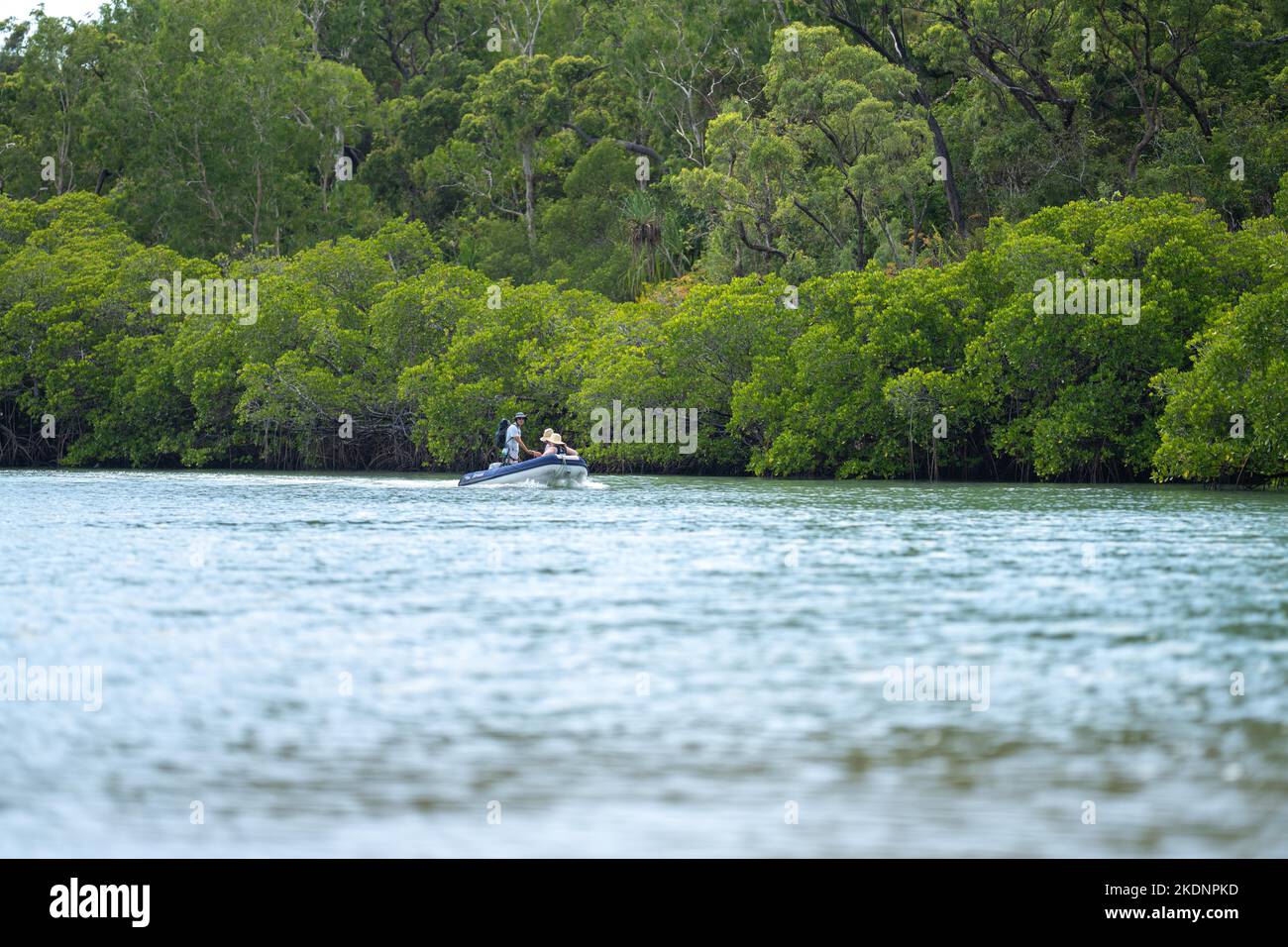 boating up a bush river in queensland Australia Stock Photo - Alamy