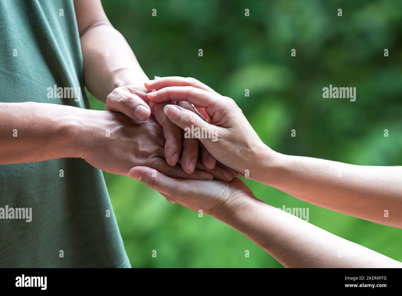 Two people holding hand together, with green nature background ...