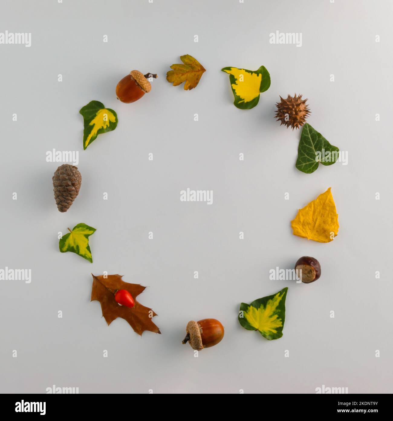 Creative autumn round frame or wreath made of natural winter and autumn ...