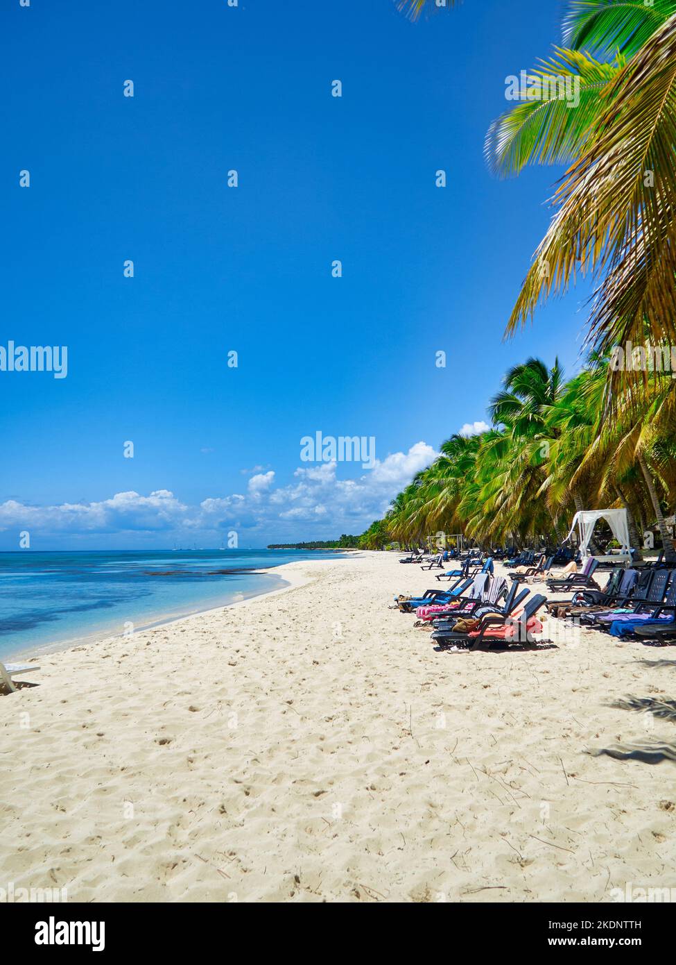 Beach day on vacation saona island Stock Photo - Alamy