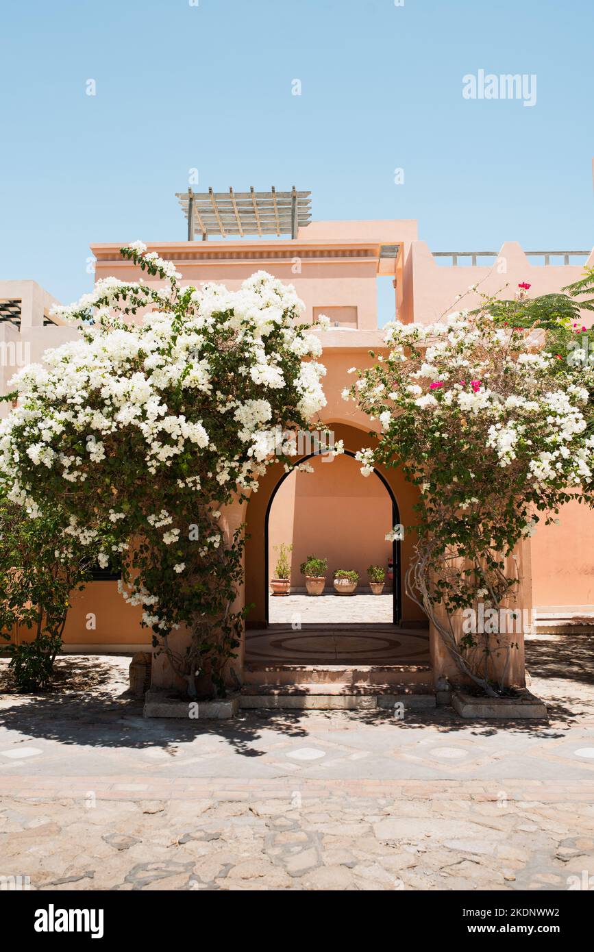 The details of El Gouna architecture, exterior designs, arched doors ...