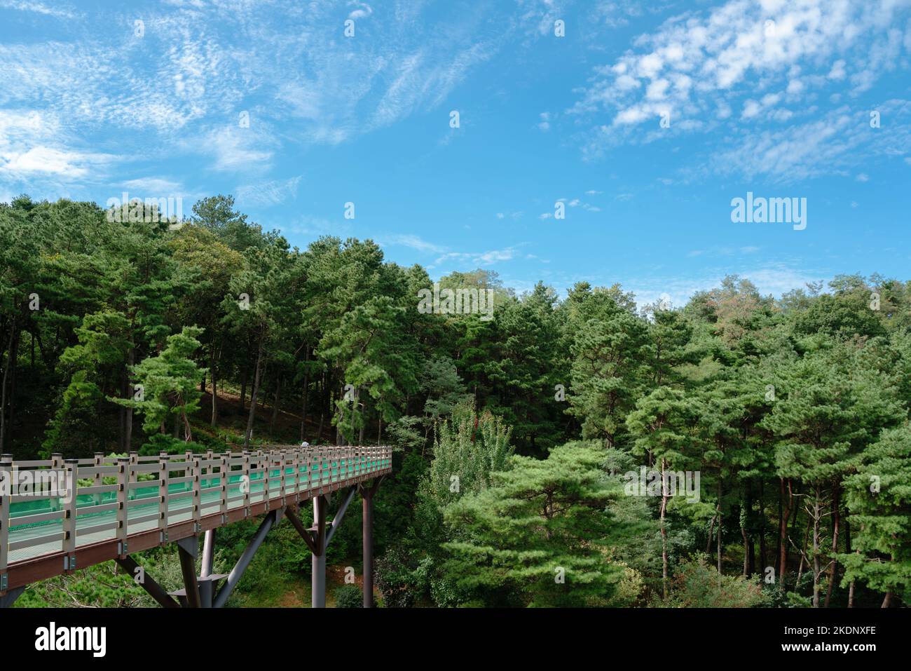 Yesan, Korea - September 10, 2022 : Bongsusan Arboretum green forest ...