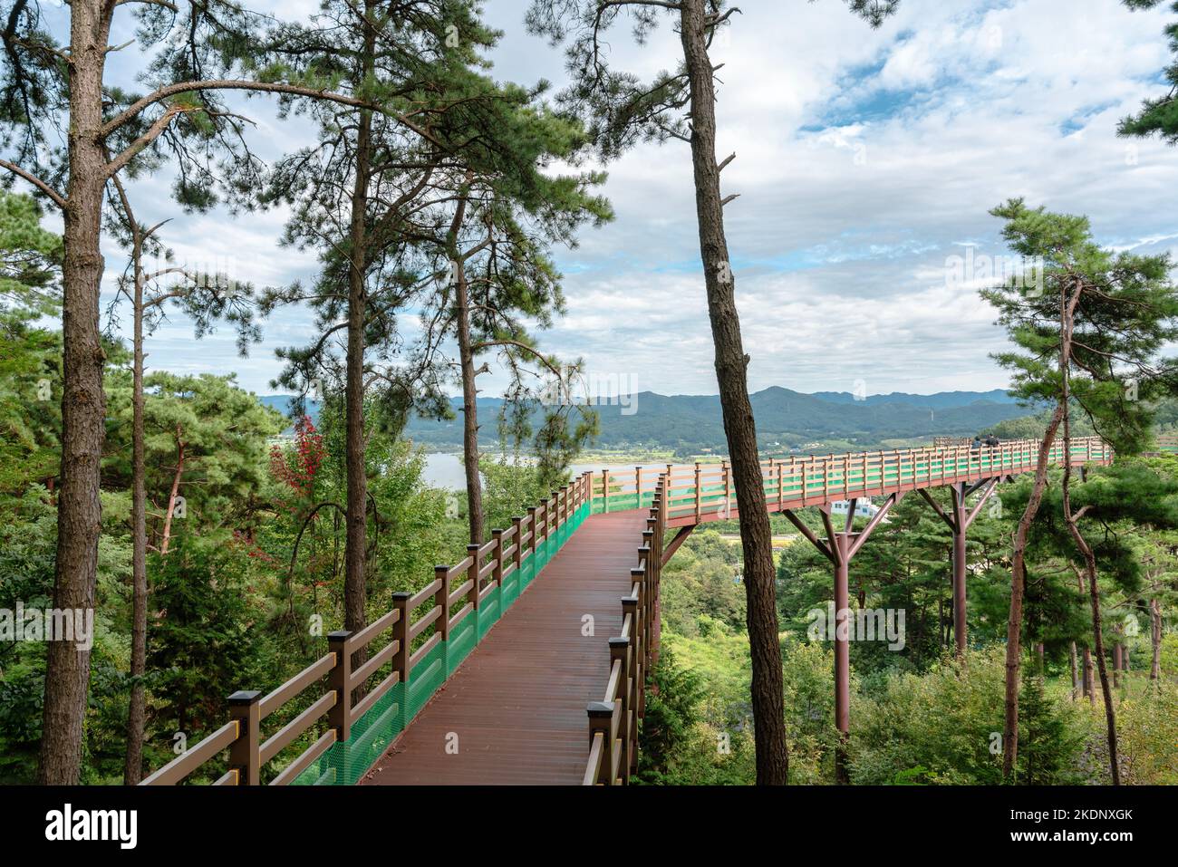 Yesan, Korea - September 10, 2022 : Bongsusan Arboretum green forest ...
