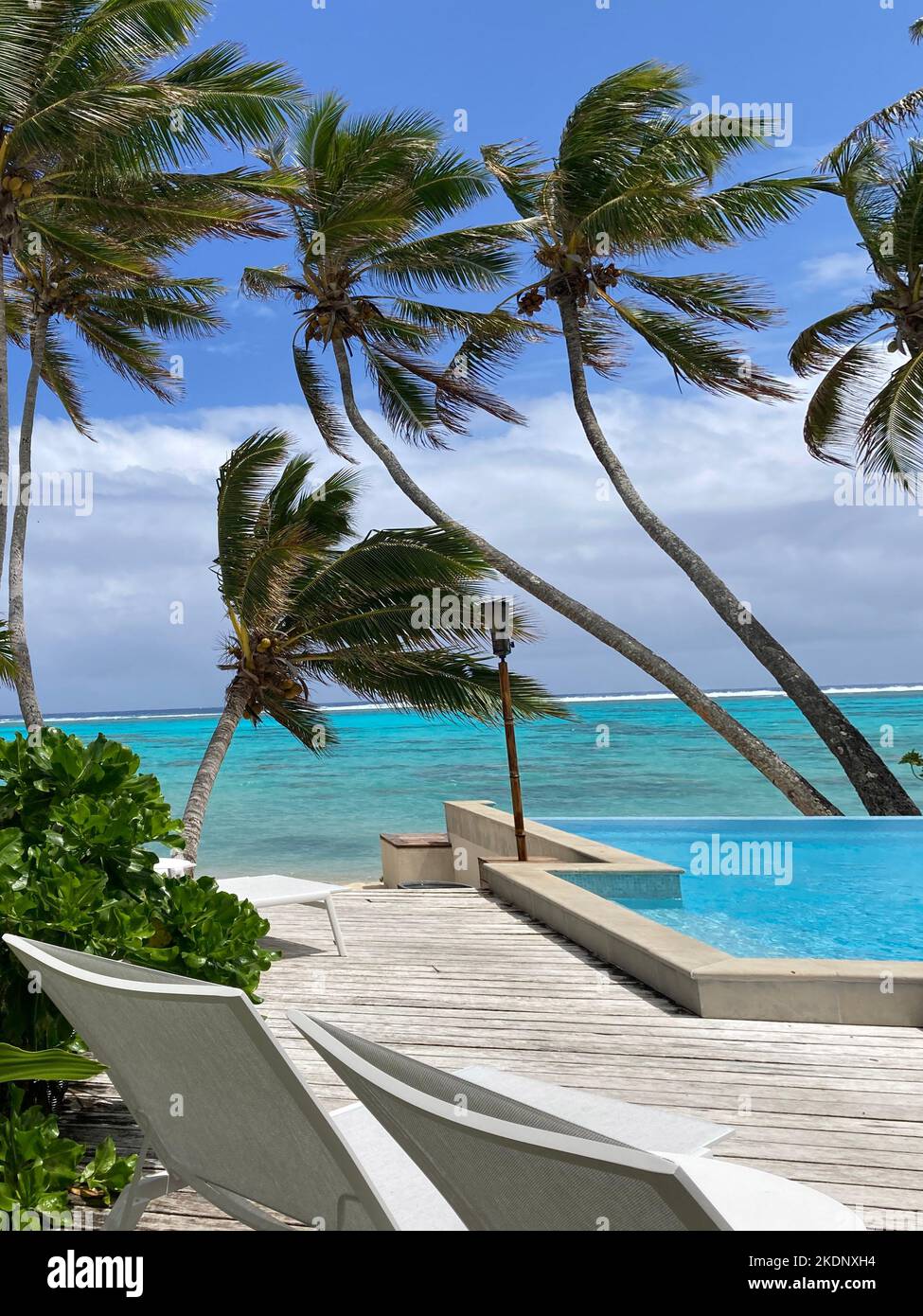 Raratonga Cook Islands trip 2022 holiday resort palm trees swimming ...