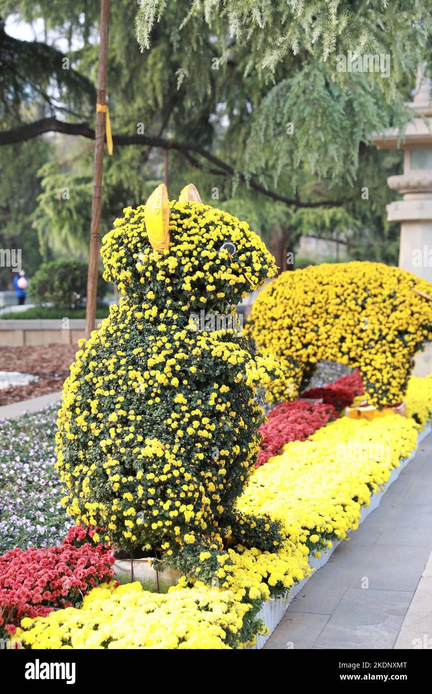 A group of chrysanthemums with the shape of the twelve Chinese zodiac ...
