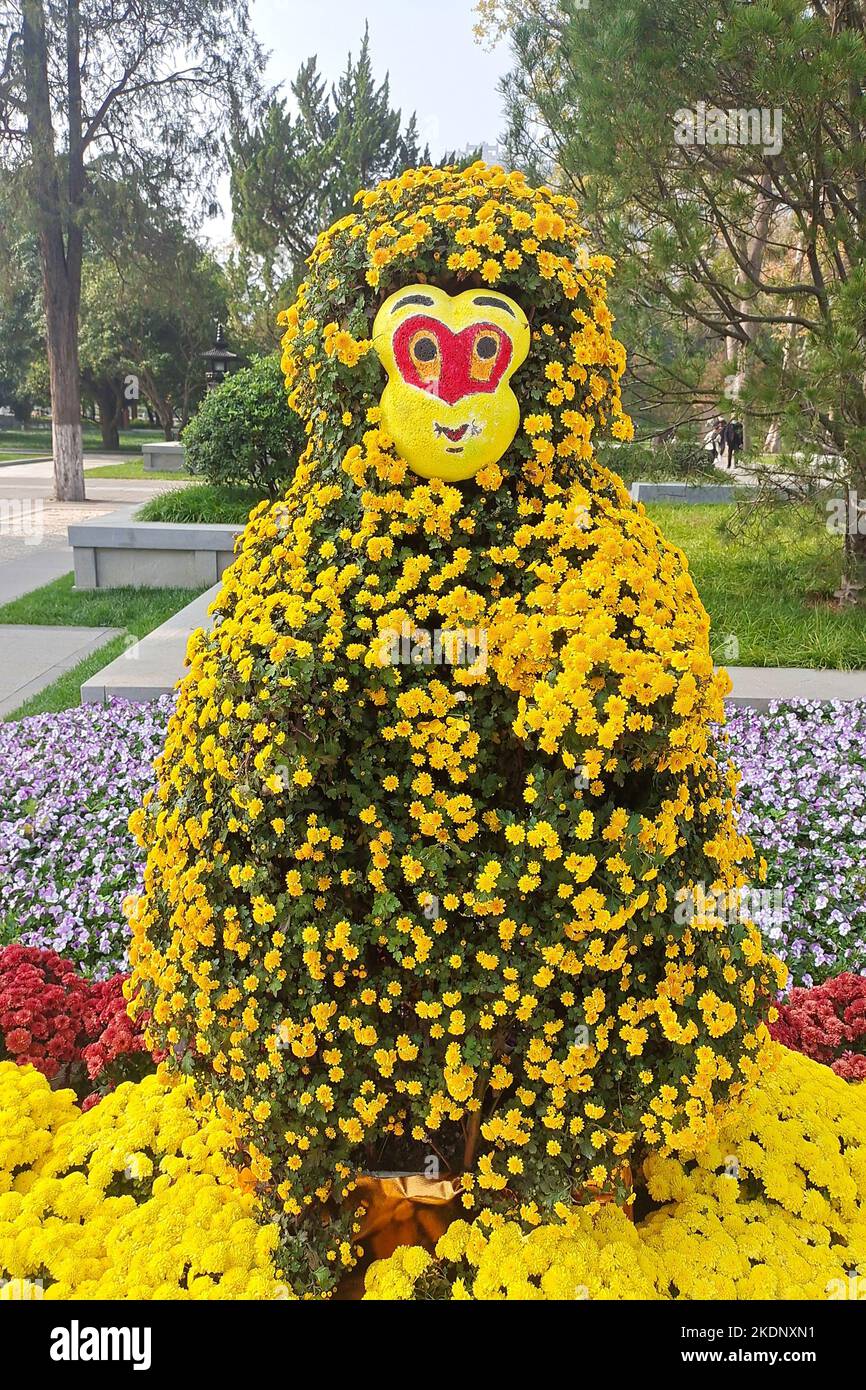 A group of chrysanthemums with the shape of the twelve Chinese zodiac ...