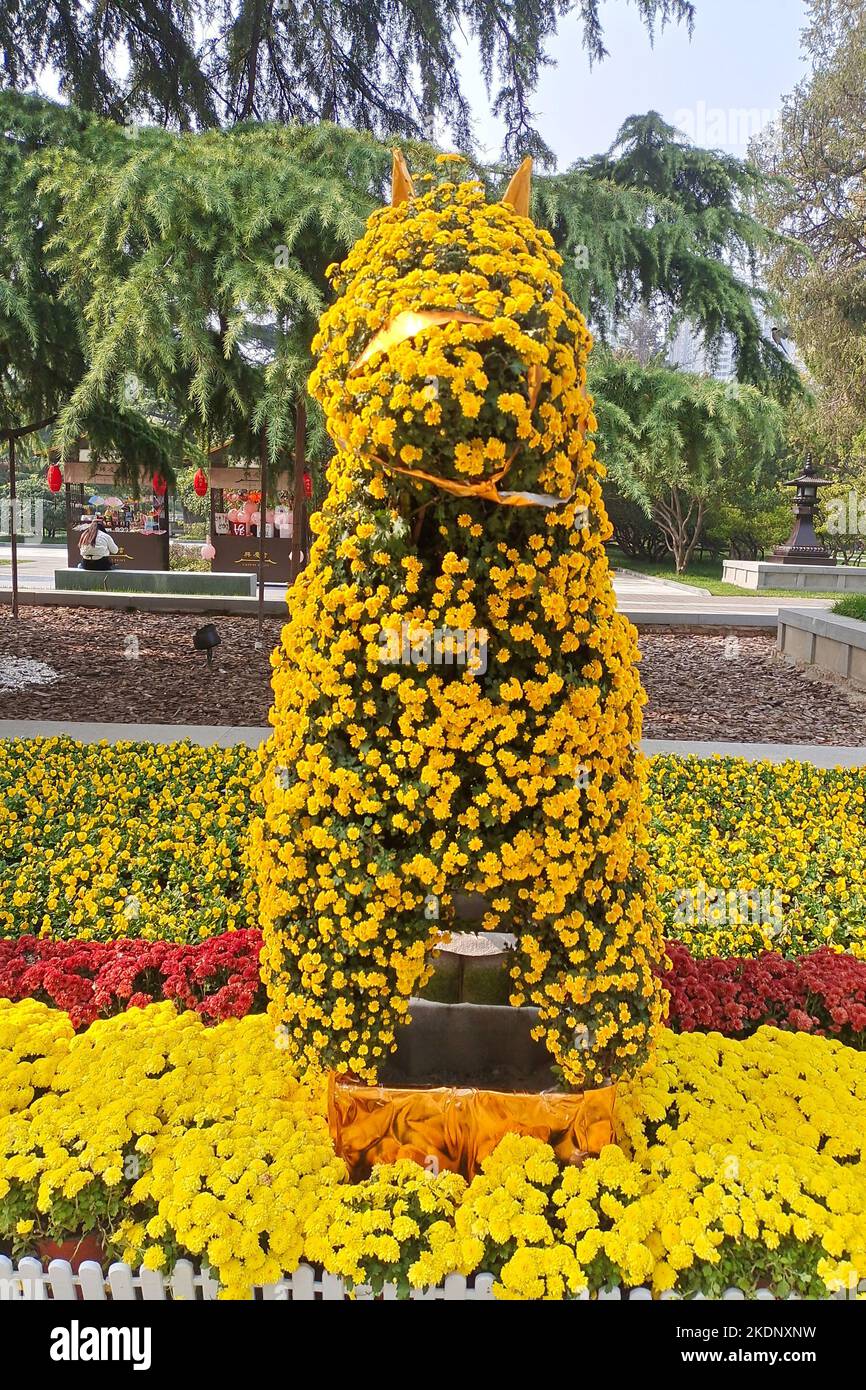 A group of chrysanthemums with the shape of the twelve Chinese zodiac ...