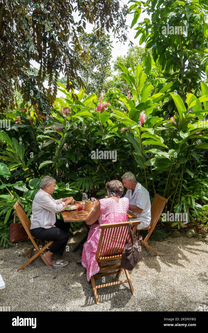 Raratonga Cook Islands trip 2022 holiday Gardens buses water garden ...