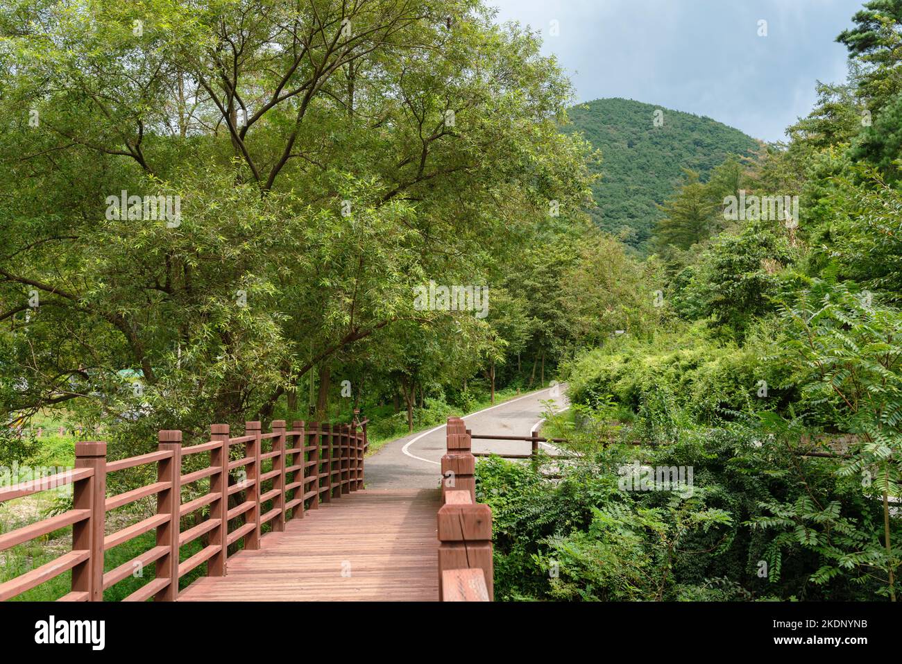 Mountain green forest road in Yesan, Korea Stock Photo - Alamy