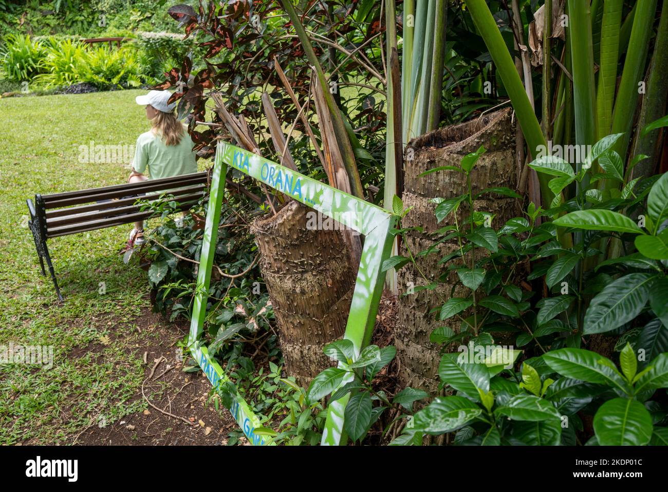 Raratonga Cook Islands trip 2022 holiday Gardens buses water garden ...