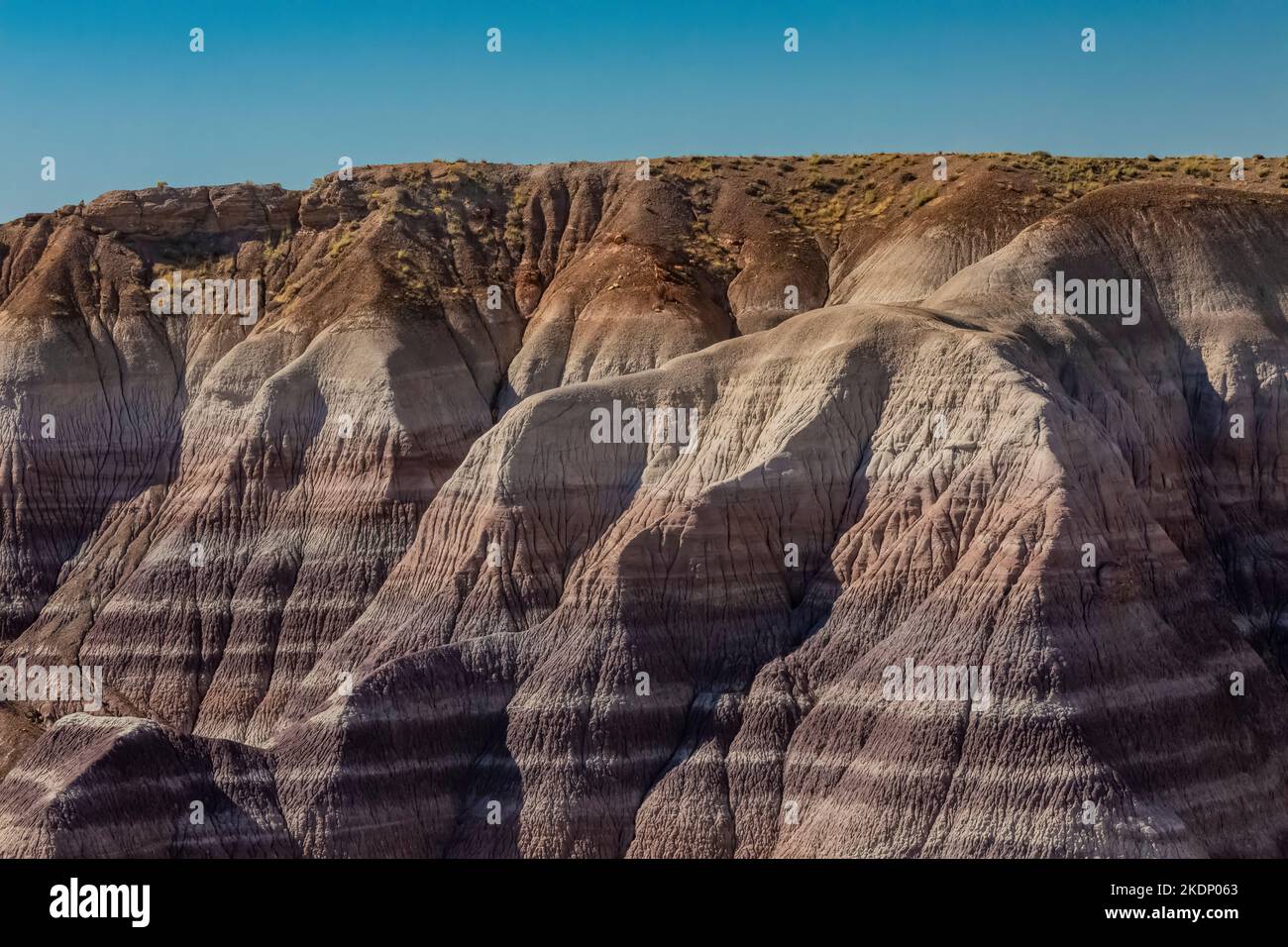 View of badlands from Blue Mesa overlook in Petrified Forest National ...
