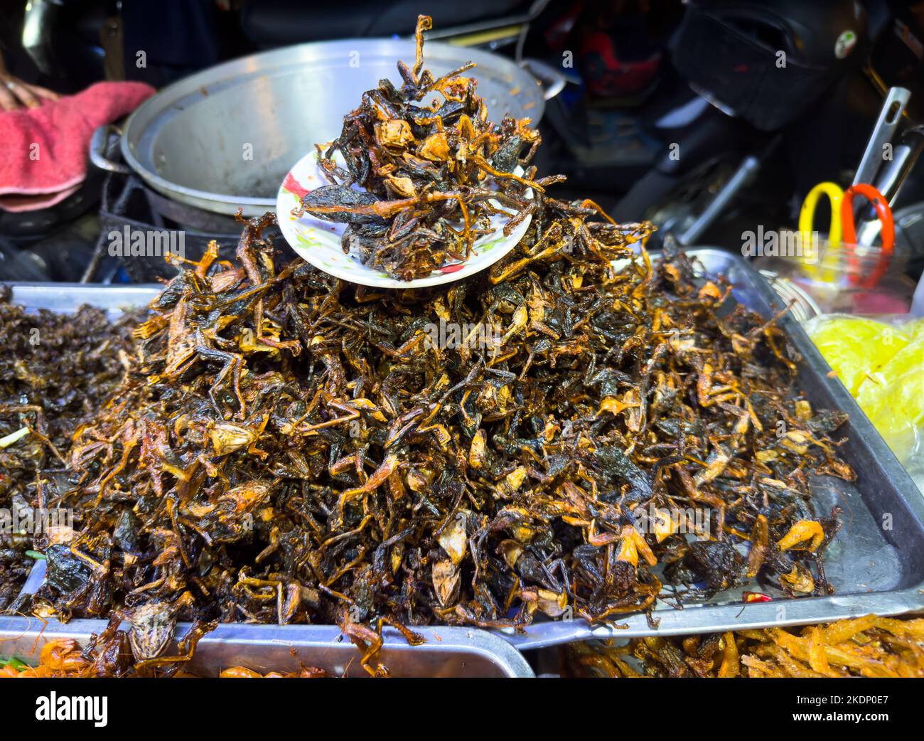 Fried lizard hi-res stock photography and images - Alamy