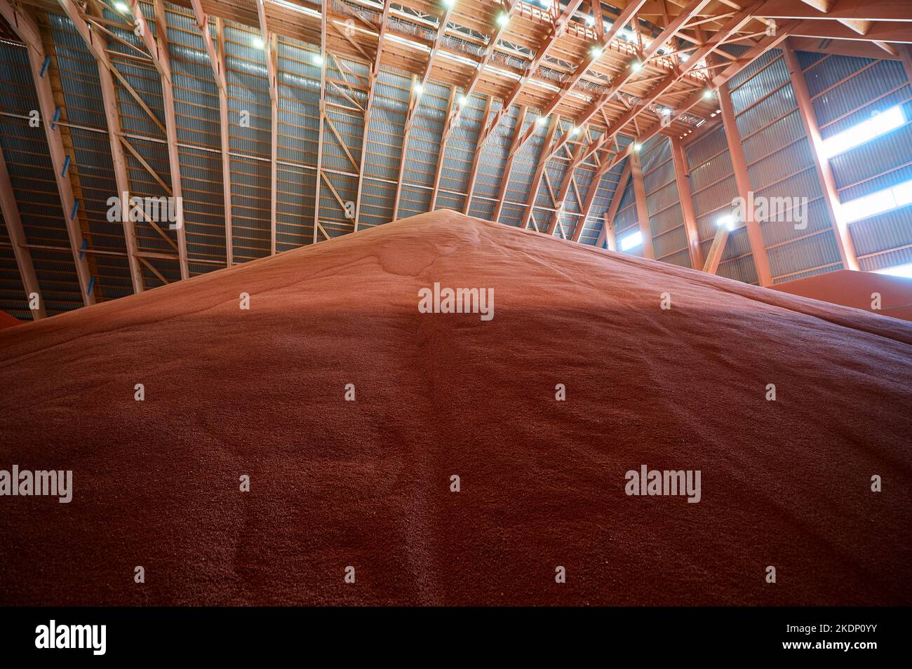 High pile of red color potassium fertilizers in storehouse Stock Photo ...