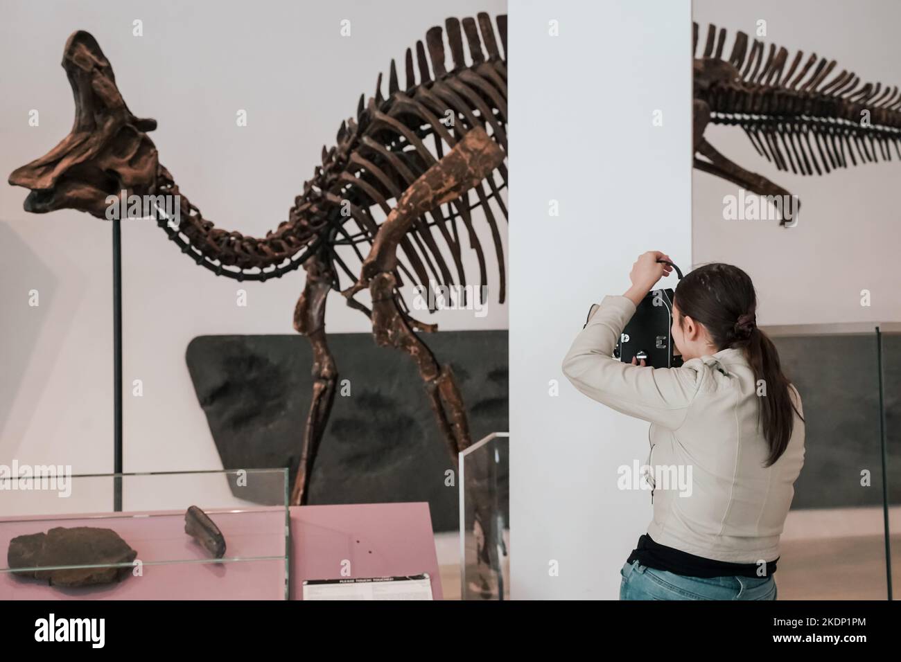 A female visitor taking photo using a vintage camera inside a museum ...