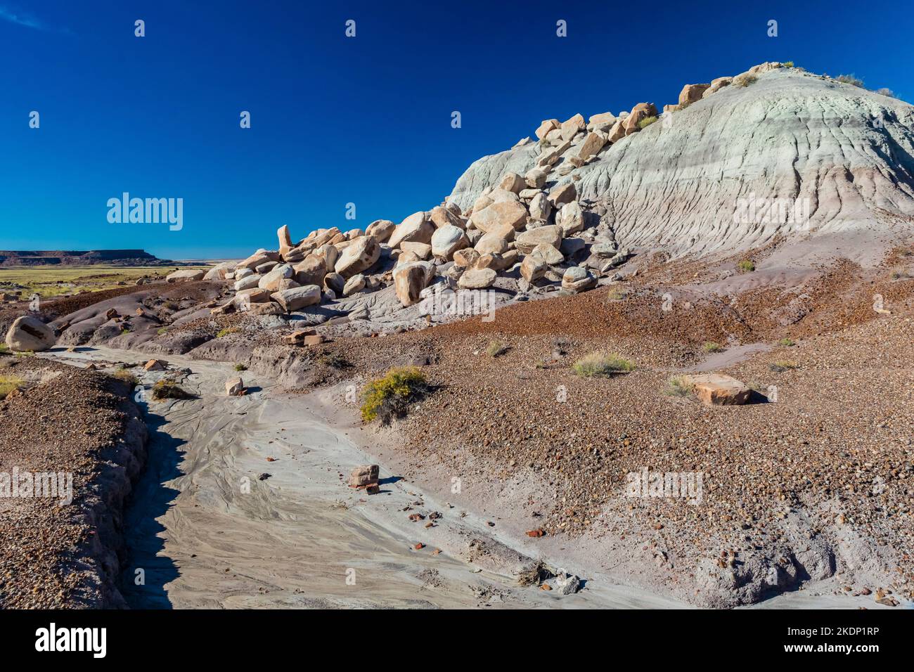 Jasper Forest in Petrified Forest National Park, Arizona, USA Stock ...