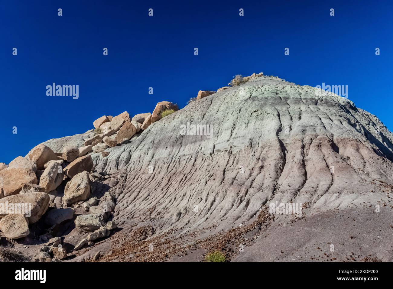 Jasper Forest in Petrified Forest National Park, Arizona, USA Stock ...