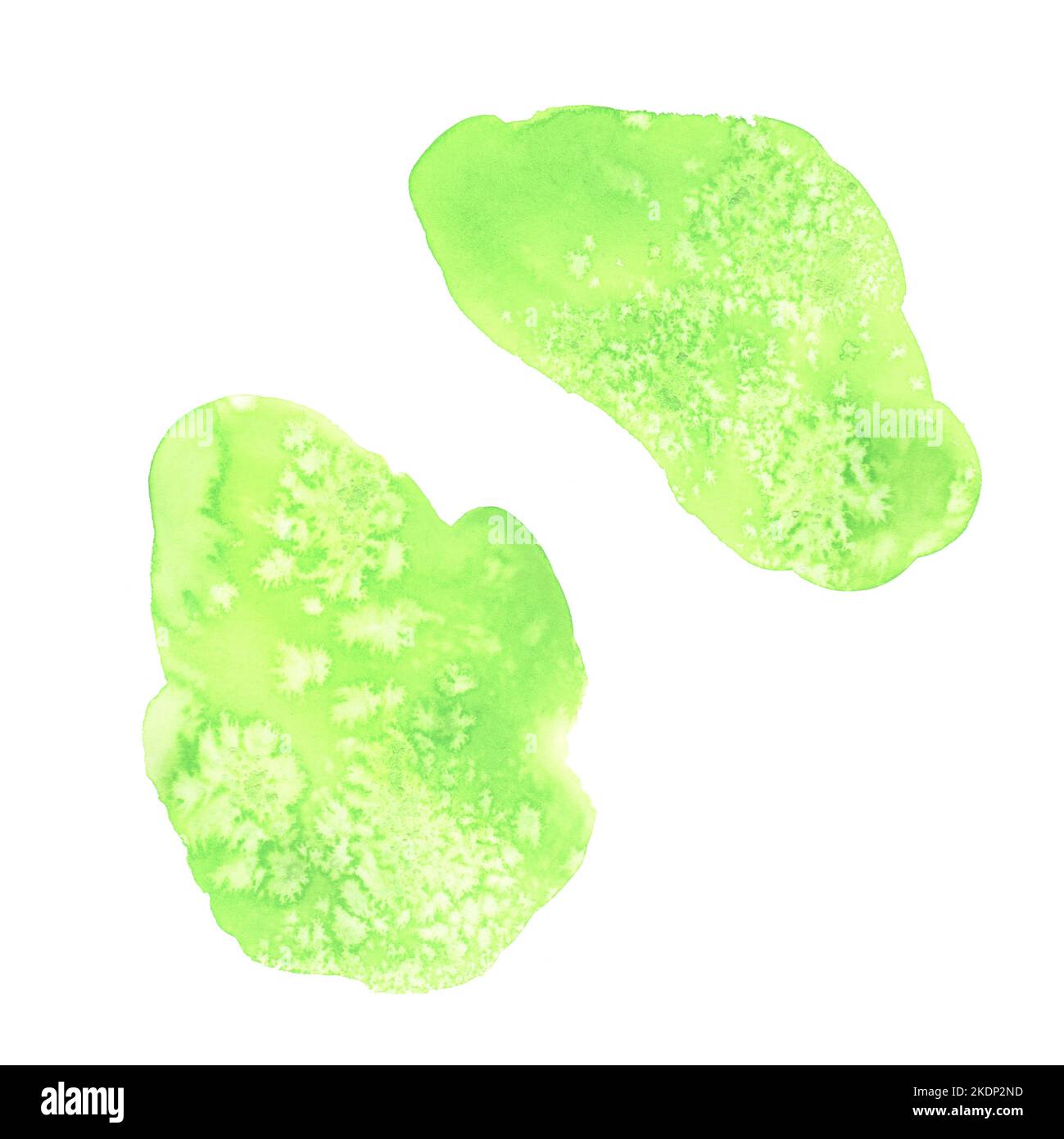 Abstract light green watercolor stain for background. Expressive ...