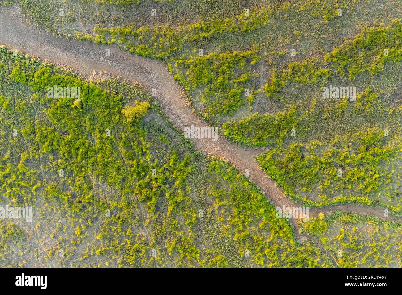 Top aerial panoramic view of green steppe or meadow in summer ...