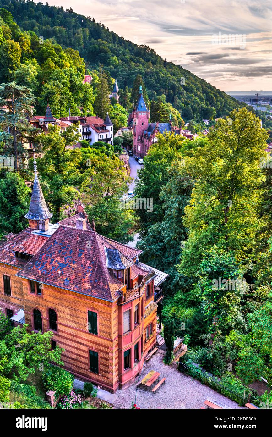 Traditional castle in Heidelberg at sunset - Baden-Wuerttemberg, Germany Stock Photo - Alamy