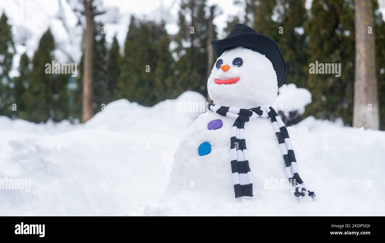 Snowman scarf cap forest hi-res stock photography and images - Alamy