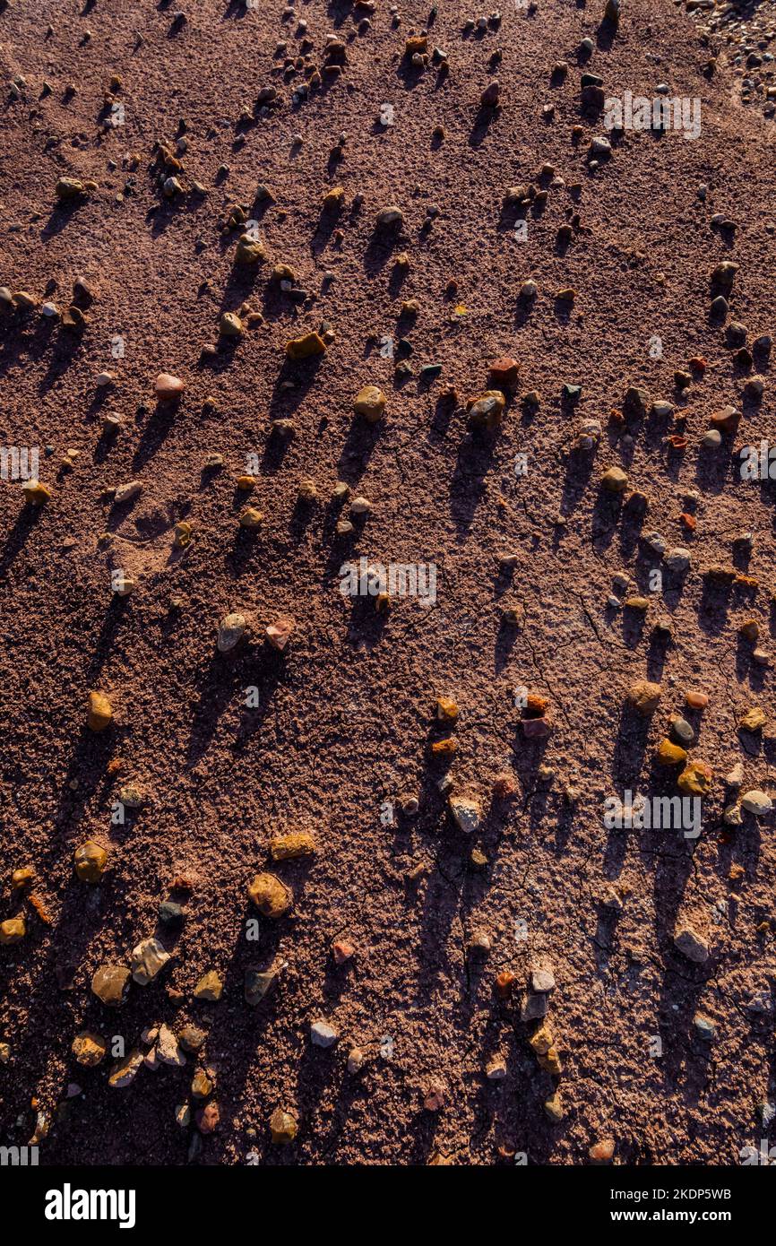 Jasper Forest in Petrified Forest National Park, Arizona, USA Stock ...