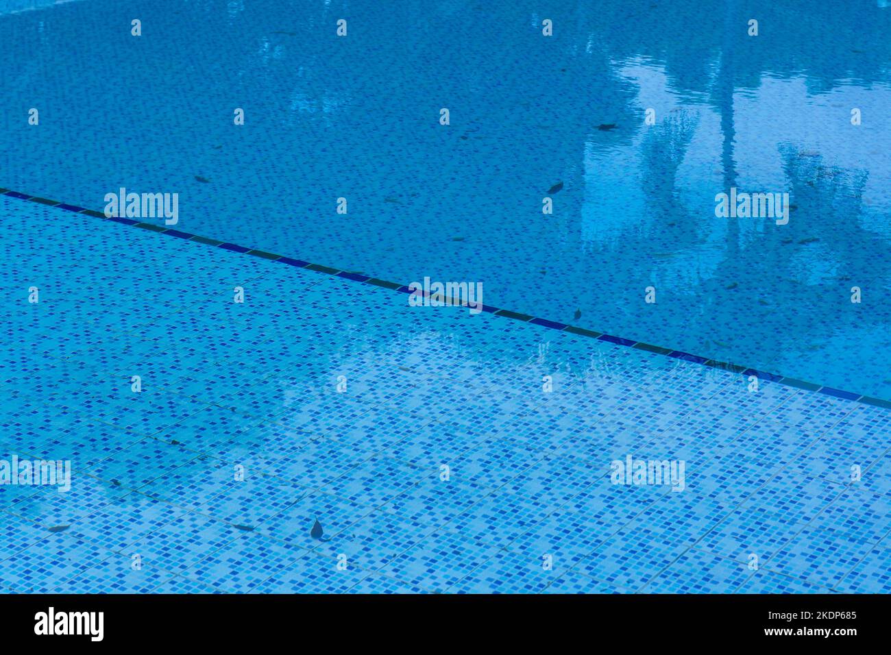 Water in pool with different depth levels and leaves at bottom ...