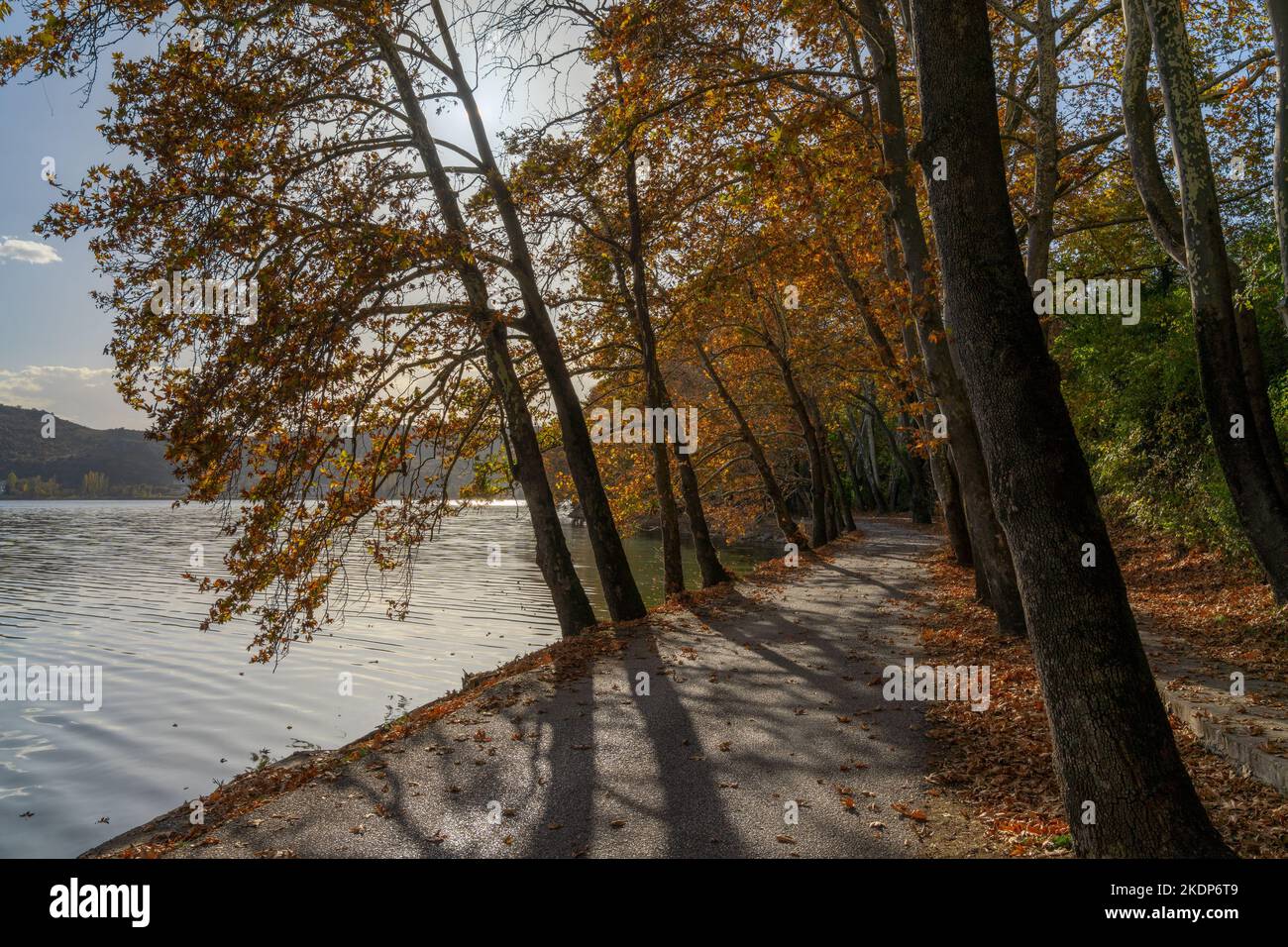 A small country road on the shores of a lake with trees in warm autumn ...