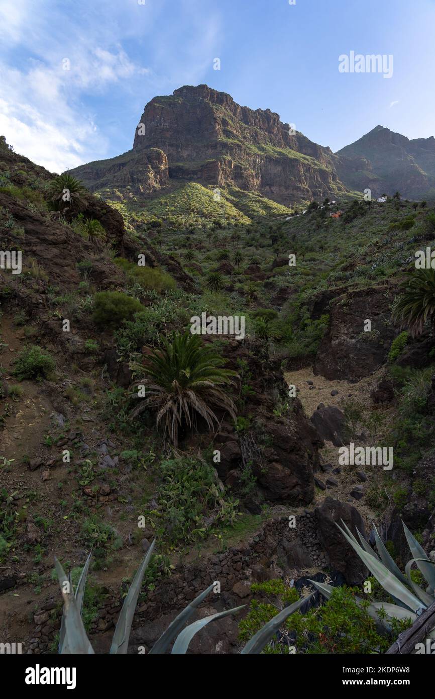 Landscape of Masca gorge. Tenerife. Canary Islands. Spain Stock Photo ...