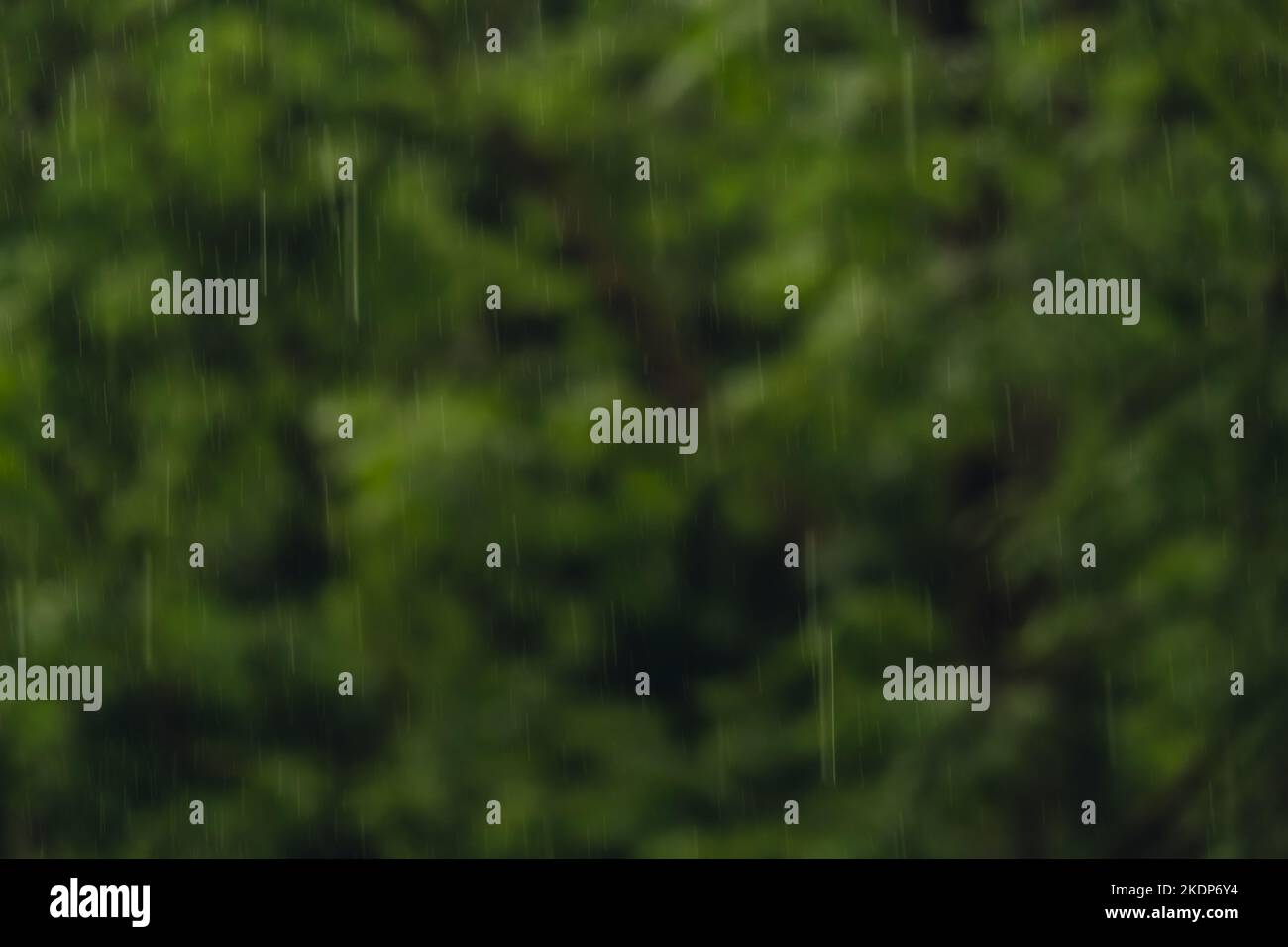 Strong surface winds hi-res stock photography and images - Alamy
