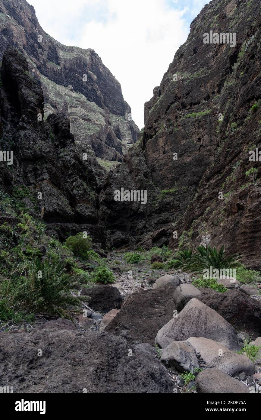 Landscape of Masca gorge. Tenerife. Canary Islands. Spain Stock Photo ...